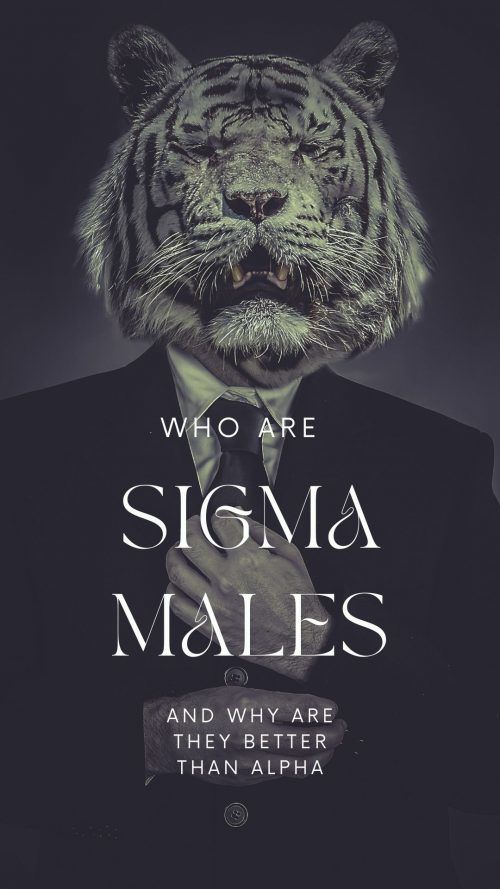 Sigma Male: How To Understand That You Are Alone Wolf
