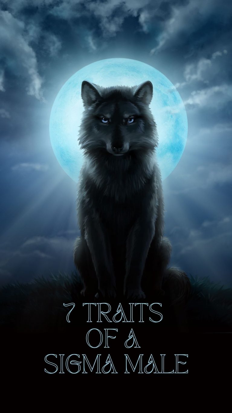 Sigma Male: How To Understand That You Are Alone Wolf