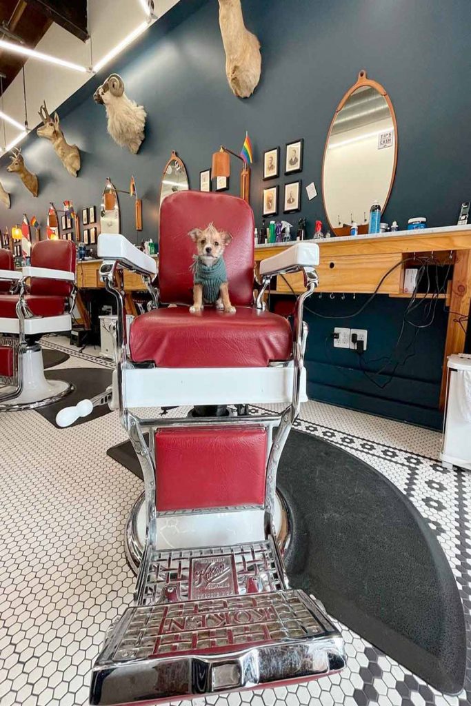 Best 10 Barber Shops In Detroit