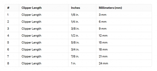 Haircut Numbers: 2024 Guide To Hair Clipper Sizes